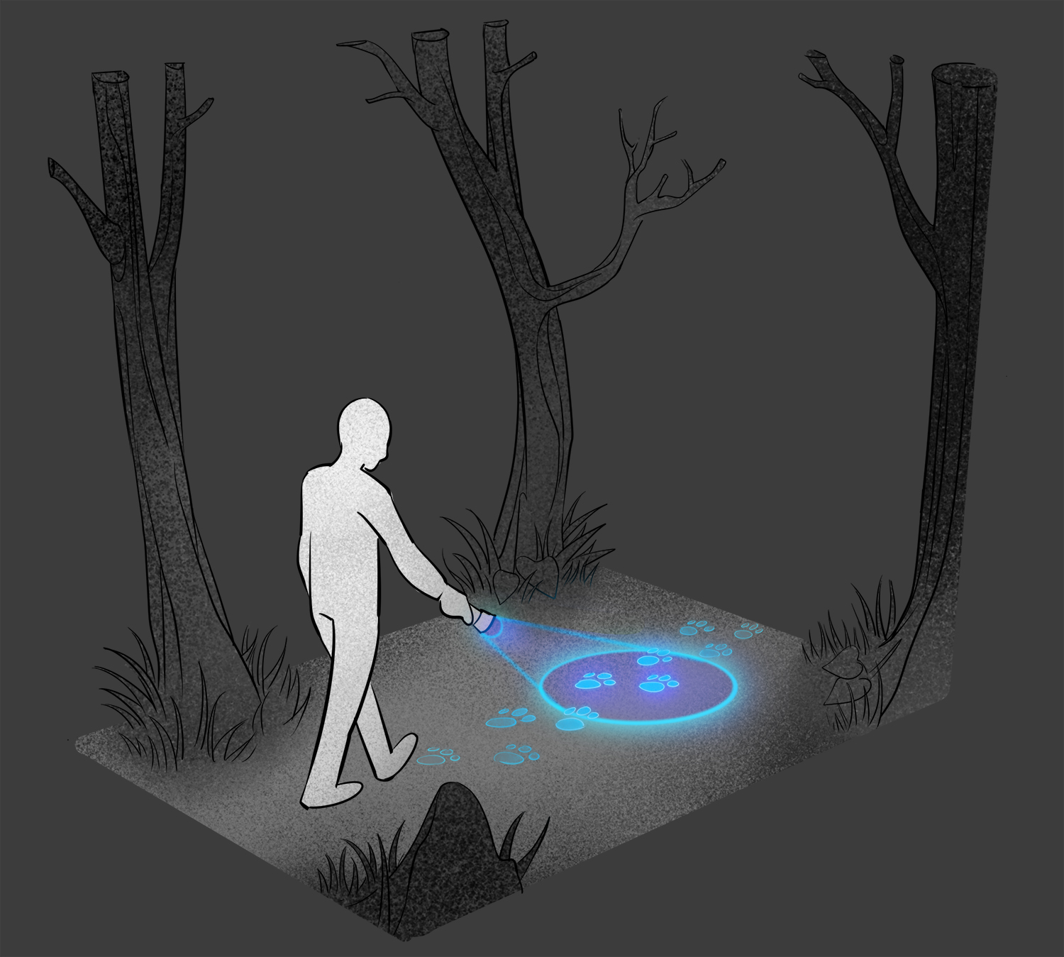 Wander - Alterface Interactive Dark Rides